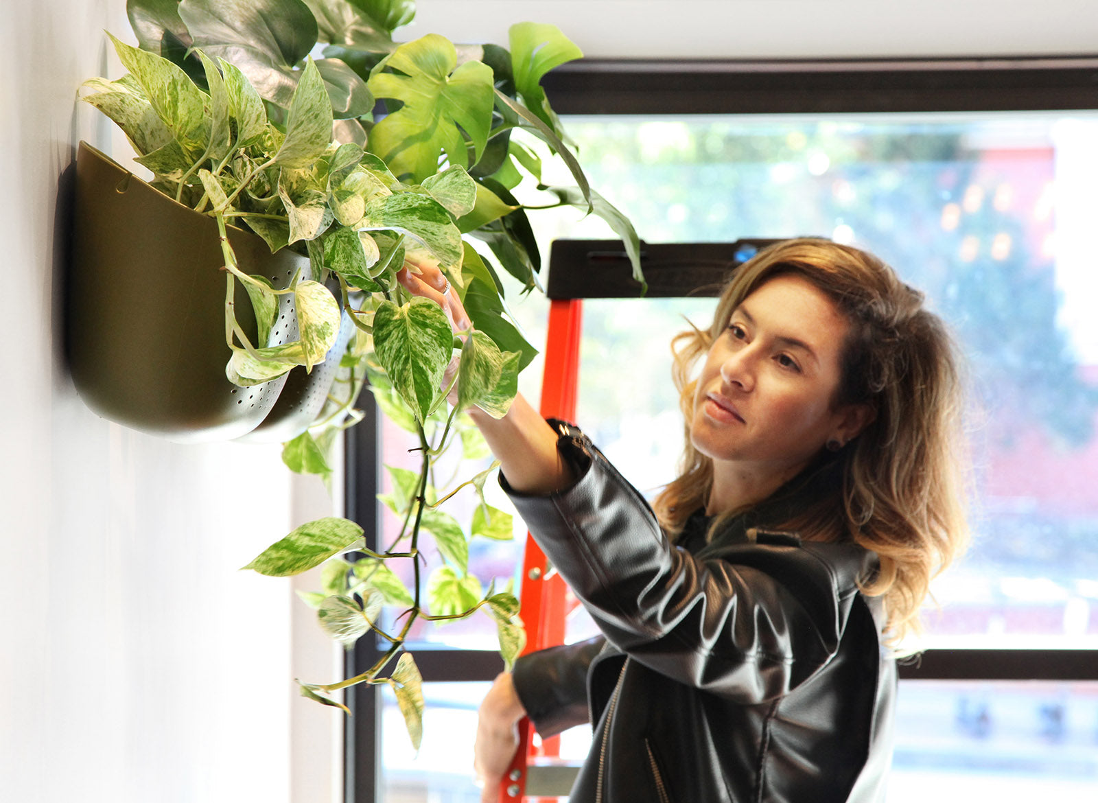 Reasons Why the President of WallyGrow Swears by Nutrients