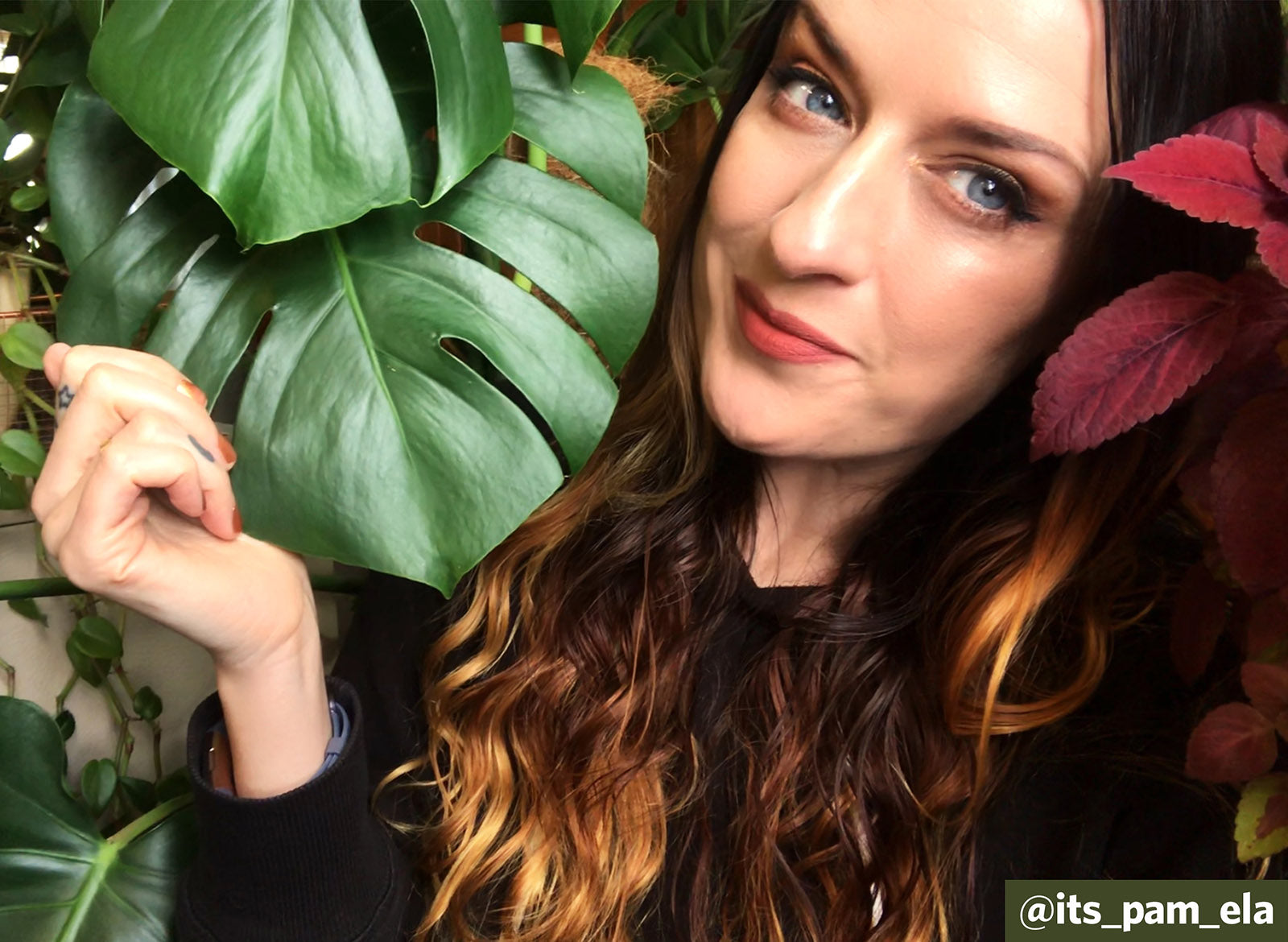 Loop Review with Pam's Pretty Plants – WallyGrow