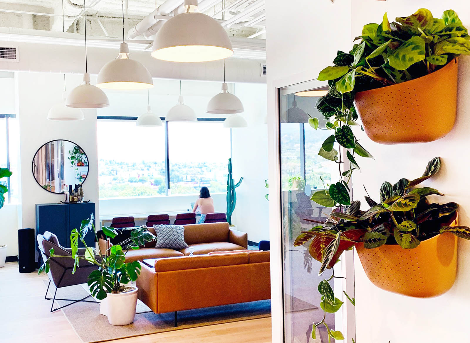 Why You Should Add Plants To Your Workspace | WallyGro – WallyGrow