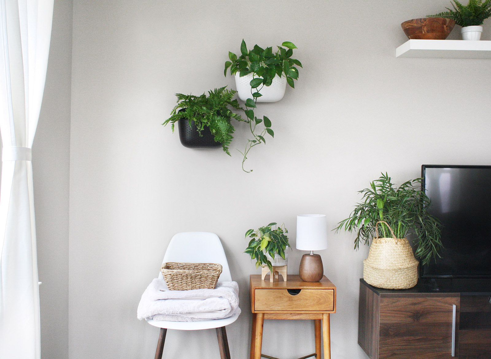 Mix and Match Plant Styling Tips: One Space, 6 MORE Themes – WallyGrow