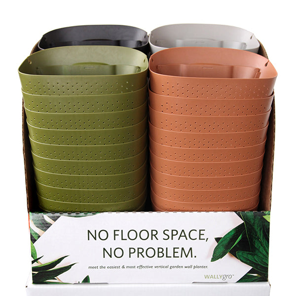 Earth Tones 40 Pack Wholesale – WallyGrow